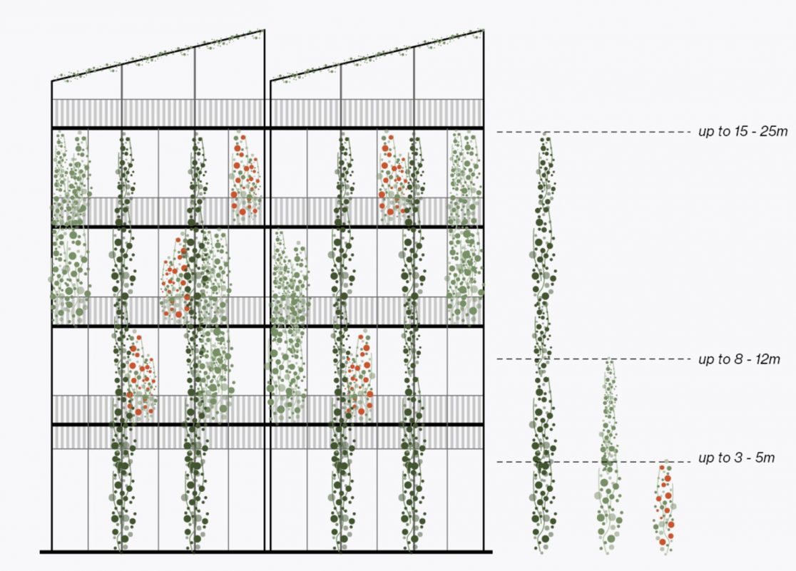 Falk Areal Freiburg, COBE – BETA