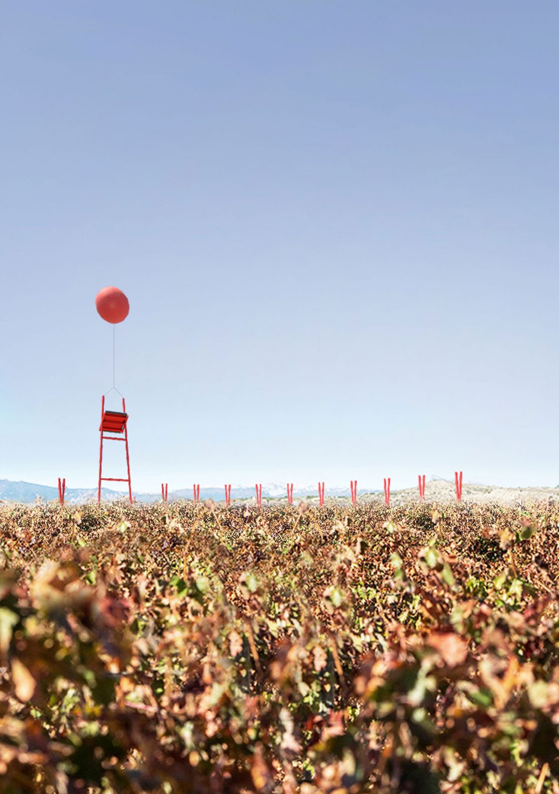 The Rituals of Eating, ORTUS – BETA